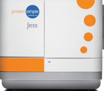 Jess多功能全自动蛋白免疫印迹定量分析系统_报价-美国ProteinSimple公司