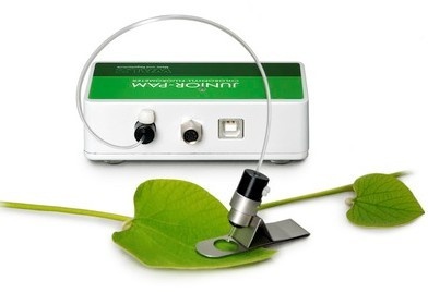 基础型调制荧光仪Junior-PAM_报价-上海泽泉科技股份有限公司