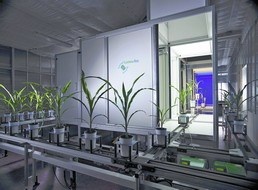 植物生理生态仪器-全自动高通量植物3D成像系统_产品详情